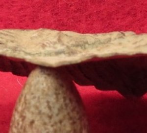 Enlisted Man's 1858 "Jeff Davis" Hat Pin