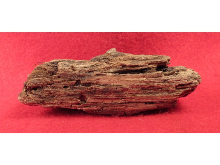 .58 Caliber 3-Ring Bullet in Wood